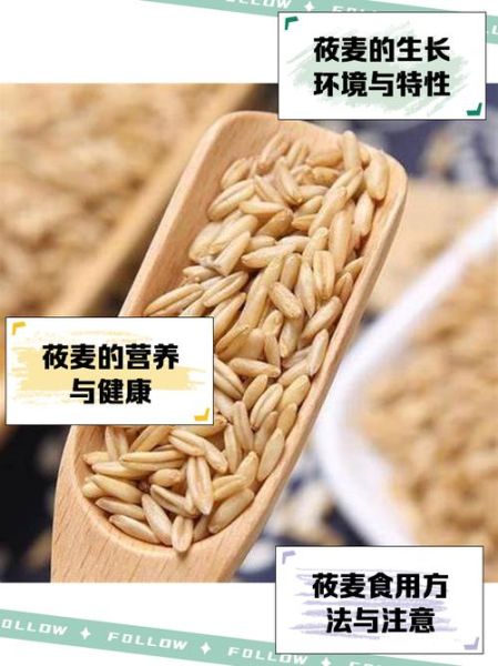 莜怎么读音_莜麦与莜面的区别-第3张图片-山城妙识 莜怎么读音_莜麦与莜面的区别-第3张图片-山城妙识