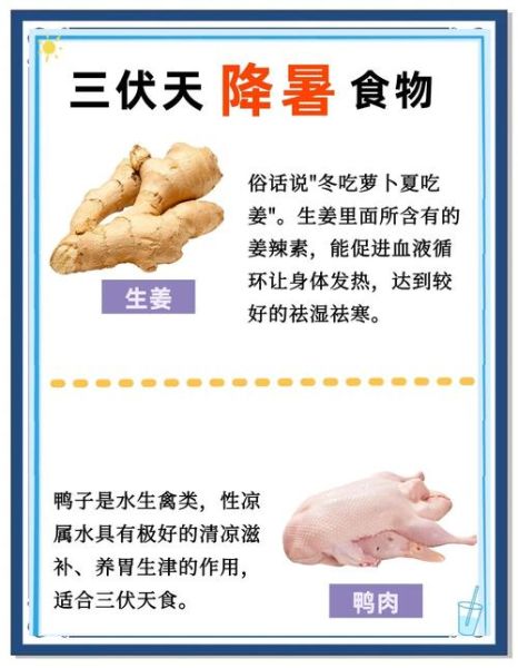 大暑吃什么解暑_大暑养生食谱推荐-第3张图片-山城妙识 大暑吃什么解暑_大暑养生食谱推荐-第3张图片-山城妙识