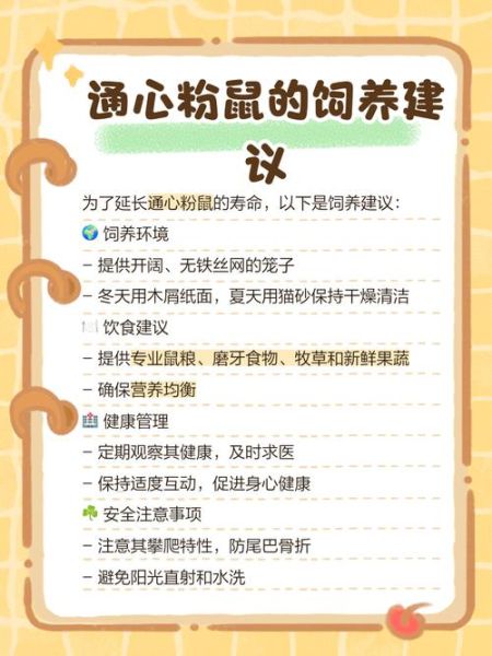 通心粉鼠怎么养_通心粉鼠饲养注意事项-第3张图片-山城妙识