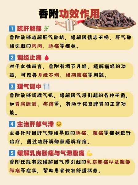 醋香附和香附的区别_哪个更适合调理月经-第2张图片-山城妙识