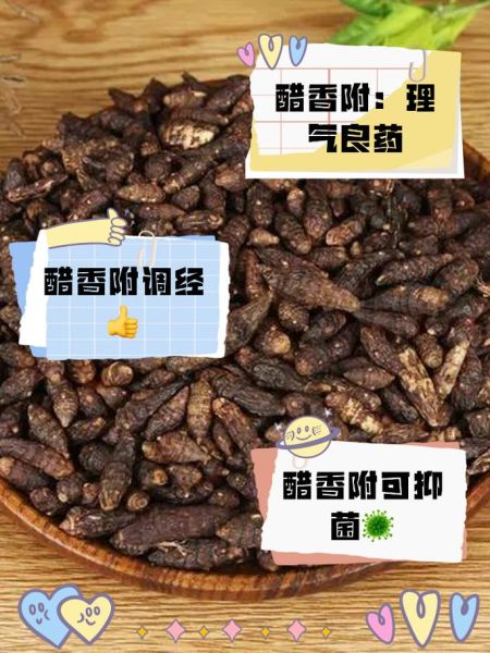 醋香附和香附的区别_哪个更适合调理月经-第3张图片-山城妙识