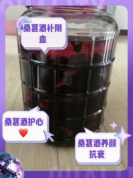 桑葚酒哪些人不能喝_桑葚酒禁忌人群有哪些-第2张图片-山城妙识