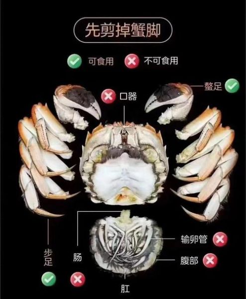 螃蟹怎么吃图解_新手第一次吃螃蟹步骤-第3张图片-山城妙识 螃蟹怎么吃图解_新手第一次吃螃蟹步骤-第3张图片-山城妙识