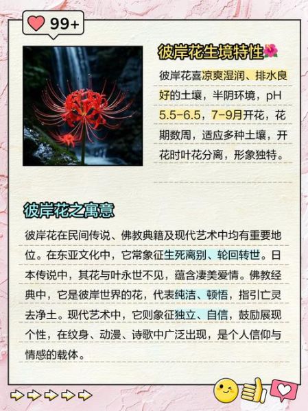 十大诅咒之花有哪些_为什么被称为不祥之花-第2张图片-山城妙识 十大诅咒之花有哪些_为什么被称为不祥之花-第2张图片-山城妙识