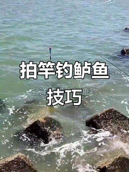 梭鱼钓法技巧_海钓新手怎么钓梭鱼-第2张图片-山城妙识 梭鱼钓法技巧_海钓新手怎么钓梭鱼-第2张图片-山城妙识