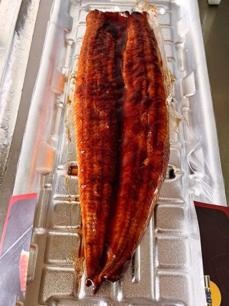 鳗鱼图片欣赏_如何挑选高清鳗鱼照片-第3张图片-山城妙识 鳗鱼图片欣赏_如何挑选高清鳗鱼照片-第3张图片-山城妙识