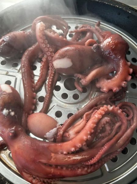 八爪鱼的头能吃吗_八爪鱼头怎么处理才安全-第1张图片-山城妙识 八爪鱼的头能吃吗_八爪鱼头怎么处理才安全-第1张图片-山城妙识