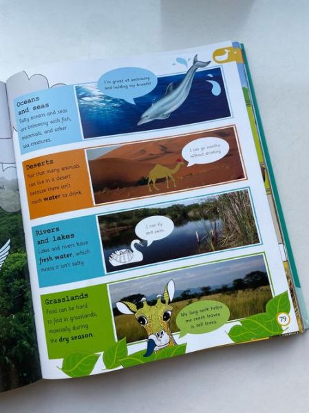 what_are_the_50_animal_names_in_english-第1张图片-山城妙识 what_are_the_50_animal_names_in_english-第1张图片-山城妙识