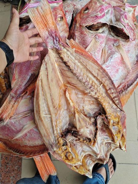 鱼干怎么制作_鱼干晒多久才够干-第2张图片-山城妙识 鱼干怎么制作_鱼干晒多久才够干-第2张图片-山城妙识