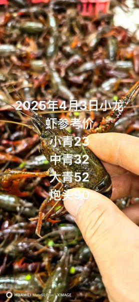 小龙虾价格走势_今年小龙虾为什么涨价-第1张图片-山城妙识