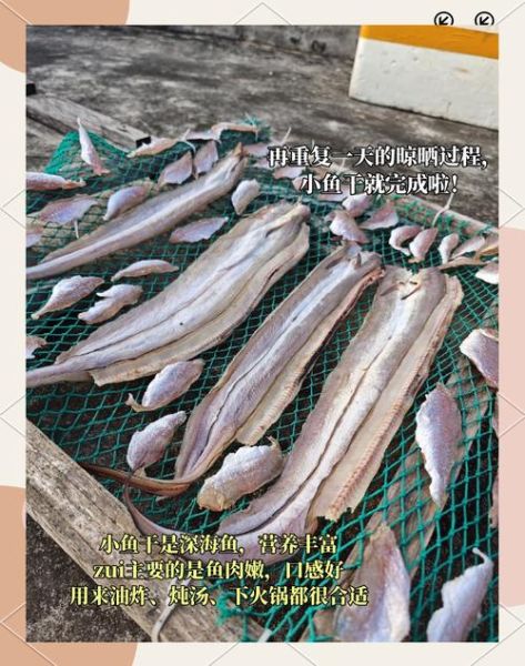 鱼干怎么制作_鱼干晒多久才够干-第3张图片-山城妙识 鱼干怎么制作_鱼干晒多久才够干-第3张图片-山城妙识