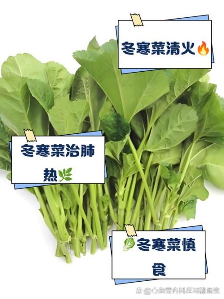 冬寒菜不能和什么一起吃_冬寒菜哪些人不能吃-第2张图片-山城妙识