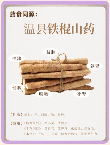 铁棍山药和普通山药有什么区别_哪个营养价值更高-第2张图片-山城妙识 铁棍山药和普通山药有什么区别_哪个营养价值更高-第2张图片-山城妙识