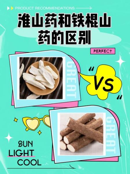 铁棍山药和普通山药有什么区别_哪个营养价值更高-第1张图片-山城妙识 铁棍山药和普通山药有什么区别_哪个营养价值更高-第1张图片-山城妙识