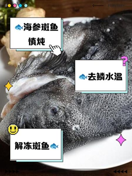 海参斑鱼什么人不能吃_海参斑鱼不能和什么一起吃-第1张图片-山城妙识 海参斑鱼什么人不能吃_海参斑鱼不能和什么一起吃-第1张图片-山城妙识