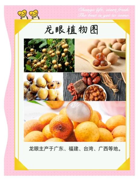 龙眼肉怎么做好吃_龙眼肉的家常做法-第1张图片-山城妙识 龙眼肉怎么做好吃_龙眼肉的家常做法-第1张图片-山城妙识