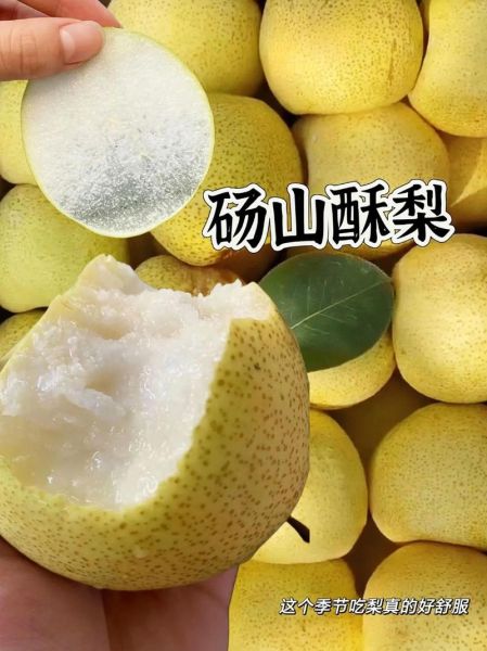砀山梨产地在什么地方_正宗砀山梨哪里买-第1张图片-山城妙识 砀山梨产地在什么地方_正宗砀山梨哪里买-第1张图片-山城妙识