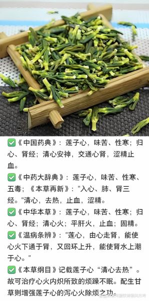 莲子心的功效与作用及禁忌_哪些人不能吃莲子心-第2张图片-山城妙识 莲子心的功效与作用及禁忌_哪些人不能吃莲子心-第2张图片-山城妙识