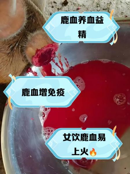 鹿血的功效与作用禁忌_鹿血什么人不能吃-第1张图片-山城妙识 鹿血的功效与作用禁忌_鹿血什么人不能吃-第1张图片-山城妙识