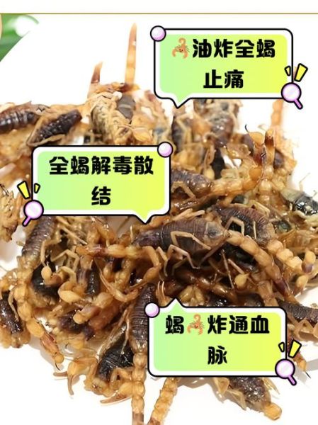 全蝎的功效与作用_全蝎的副作用有哪些-第2张图片-山城妙识 全蝎的功效与作用_全蝎的副作用有哪些-第2张图片-山城妙识