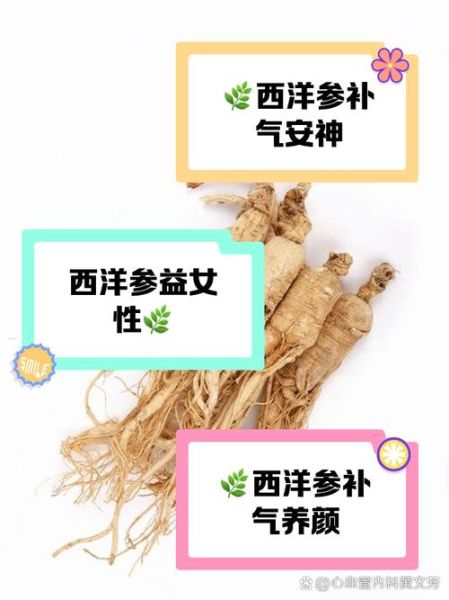 西洋参女人能长期吃吗_女人长期吃西洋参的副作用-第1张图片-山城妙识 西洋参女人能长期吃吗_女人长期吃西洋参的副作用-第1张图片-山城妙识
