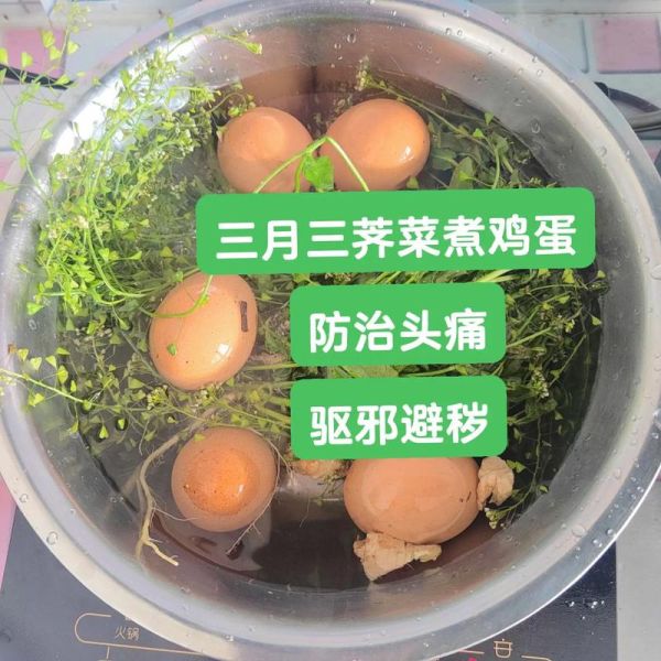 地菜煮鸡蛋的功效_三月三为什么要吃地菜蛋-第1张图片-山城妙识 地菜煮鸡蛋的功效_三月三为什么要吃地菜蛋-第1张图片-山城妙识