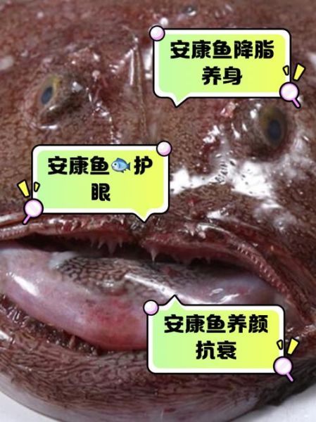 什么人不能吃安康鱼_安康鱼禁忌人群有哪些-第1张图片-山城妙识