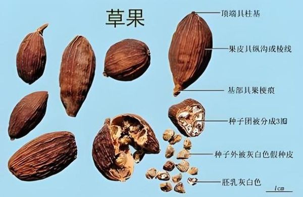 草寇是什么意思_草寇与山贼区别-第3张图片-山城妙识 草寇是什么意思_草寇与山贼区别-第3张图片-山城妙识