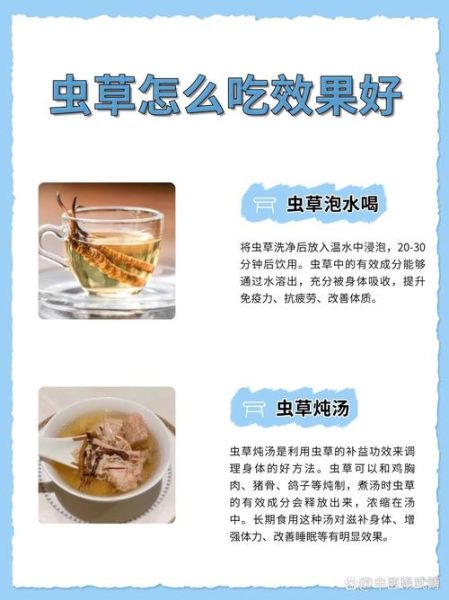 冬虫夏草有什么功效_怎么吃效果最好-第2张图片-山城妙识