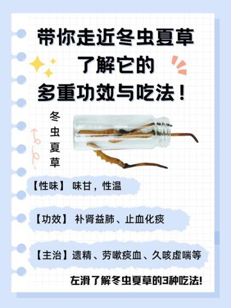 冬虫夏草有什么功效_怎么吃效果最好-第3张图片-山城妙识