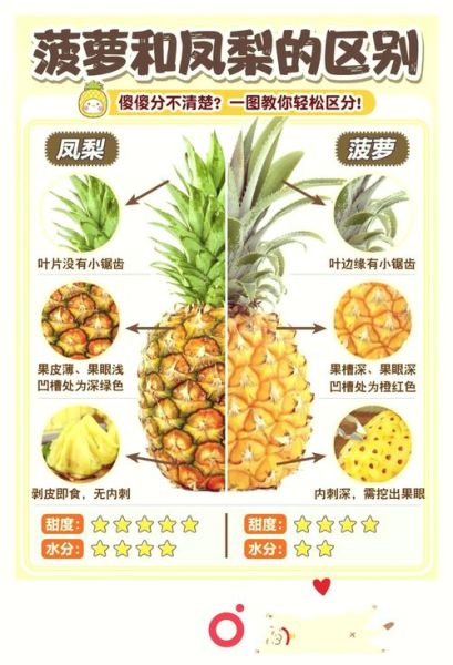 凤梨和菠萝哪个更甜_区别与选购技巧-第1张图片-山城妙识