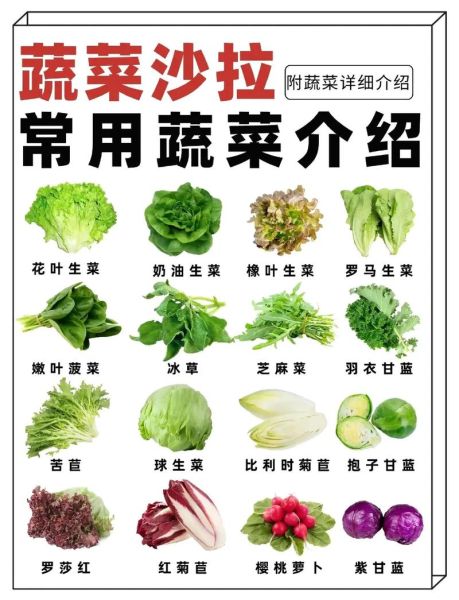 沙拉菜有几种蔬菜_常见沙拉蔬菜种类大全-第2张图片-山城妙识