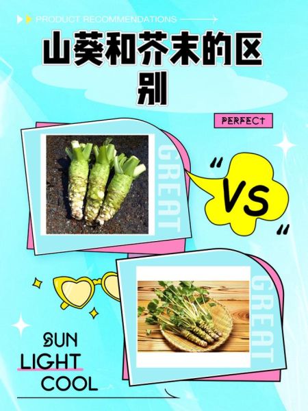 山葵和芥末的区别_山葵怎么吃才正宗-第1张图片-山城妙识