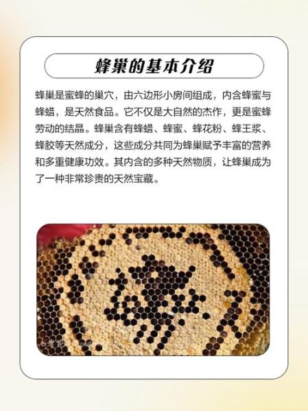 蜂巢怎么吃_蜂巢食用方法-第2张图片-山城妙识