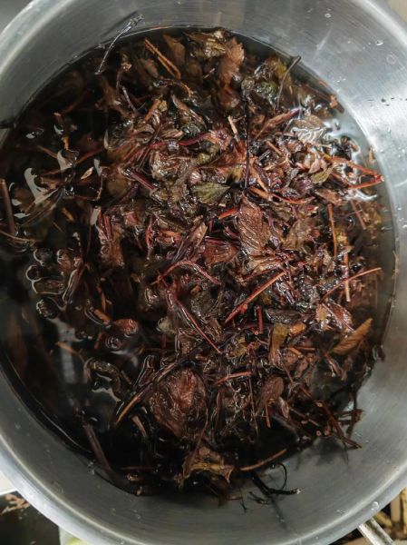 烧仙草图片大全大图_烧仙草怎么做才正宗-第2张图片-山城妙识