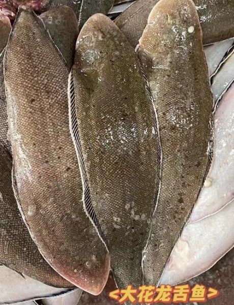 龙利鱼多少钱一斤_龙利鱼图片怎么挑-第1张图片-山城妙识