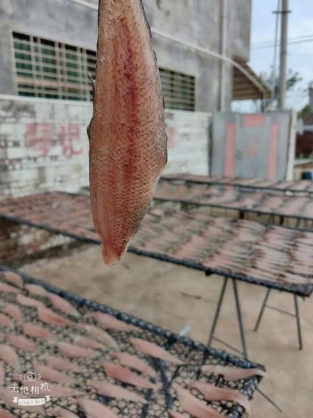 龙利鱼多少钱一斤_龙利鱼图片怎么挑-第3张图片-山城妙识