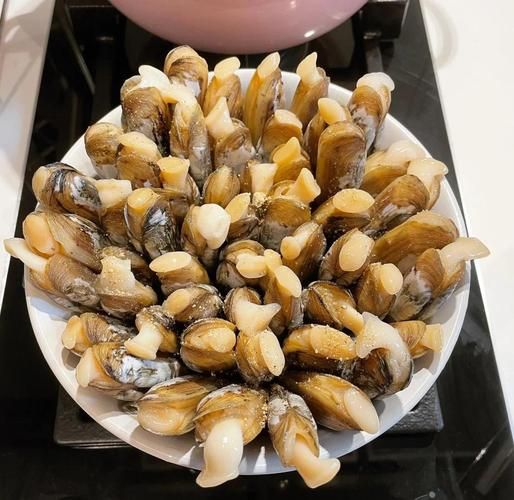 蛏子的鼻子是什么_蛏子鼻子掉了还能活吗-第3张图片-山城妙识