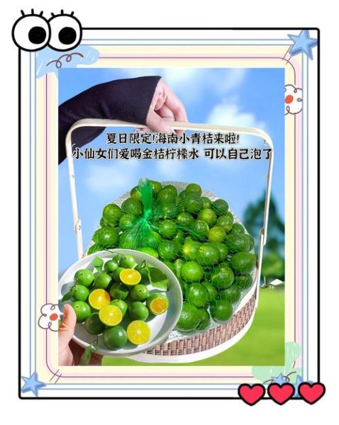 青桔的功效与作用_青桔的禁忌有哪些-第2张图片-山城妙识