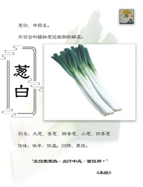 葱白是什么中药_葱白功效与作用-第1张图片-山城妙识 葱白是什么中药_葱白功效与作用-第1张图片-山城妙识