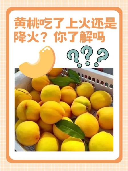 什么水果去火气_上火吃什么水果好-第3张图片-山城妙识