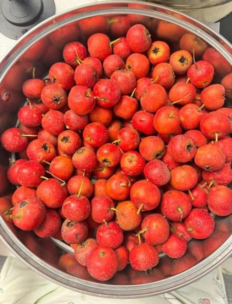 山楂罐头蒸多久最佳_蒸山楂罐头多长时间最好-第3张图片-山城妙识