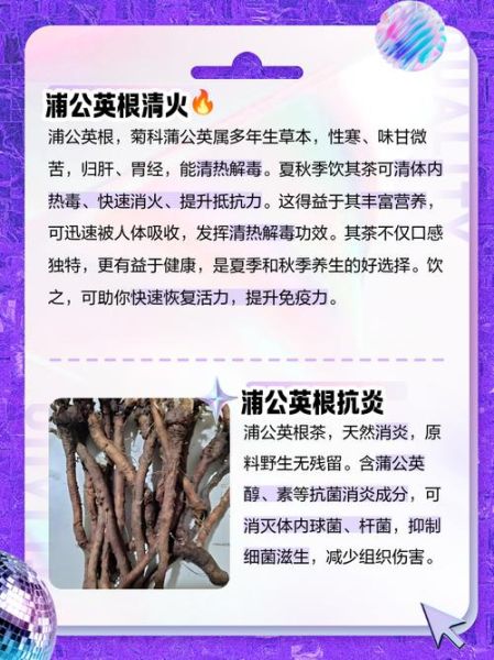 蒲公英根一天喝多少_蒲公英根泡水用量-第1张图片-山城妙识