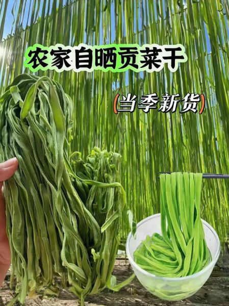 贡菜是什么菜_贡菜图片长什么样-第1张图片-山城妙识 贡菜是什么菜_贡菜图片长什么样-第1张图片-山城妙识
