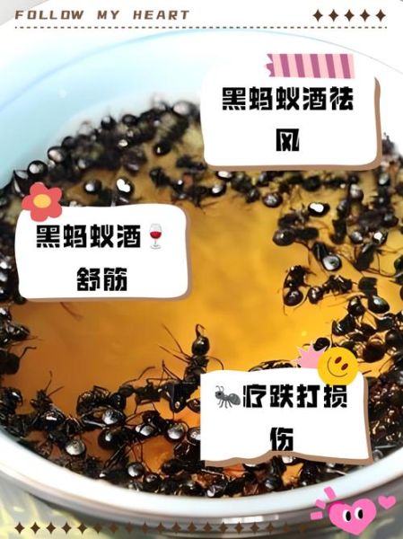 黑蚂蚁的功效与作用_黑蚂蚁怎么吃效果最好-第2张图片-山城妙识 黑蚂蚁的功效与作用_黑蚂蚁怎么吃效果最好-第2张图片-山城妙识