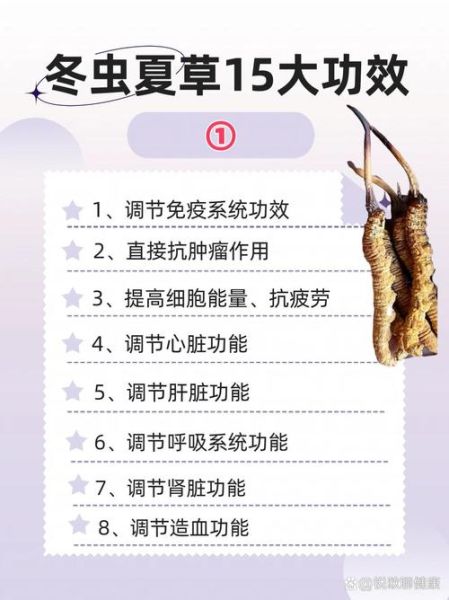 冬虫夏草怎么吃_一次吃多少克-第2张图片-山城妙识