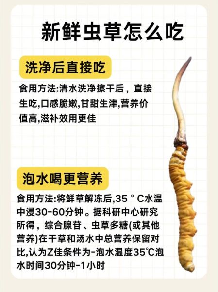 冬虫夏草怎么吃_一次吃多少克-第1张图片-山城妙识