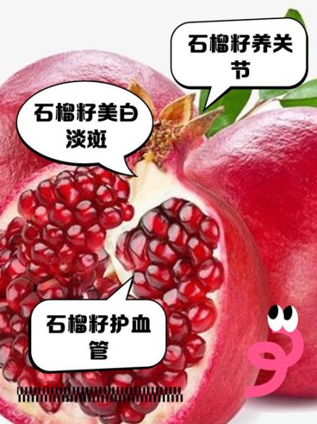 米石榴的营养价值_米石榴的功效与作用-第2张图片-山城妙识