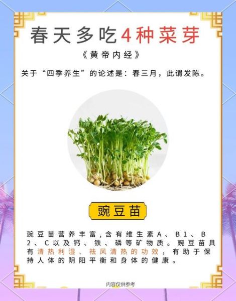 芽菜的营养价值及功效_芽菜怎么吃最健康-第1张图片-山城妙识