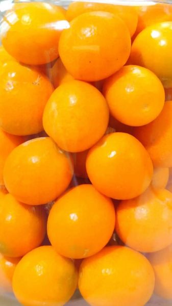 咸金桔怎么泡水喝_咸金桔泡水比例是多少-第3张图片-山城妙识 咸金桔怎么泡水喝_咸金桔泡水比例是多少-第3张图片-山城妙识